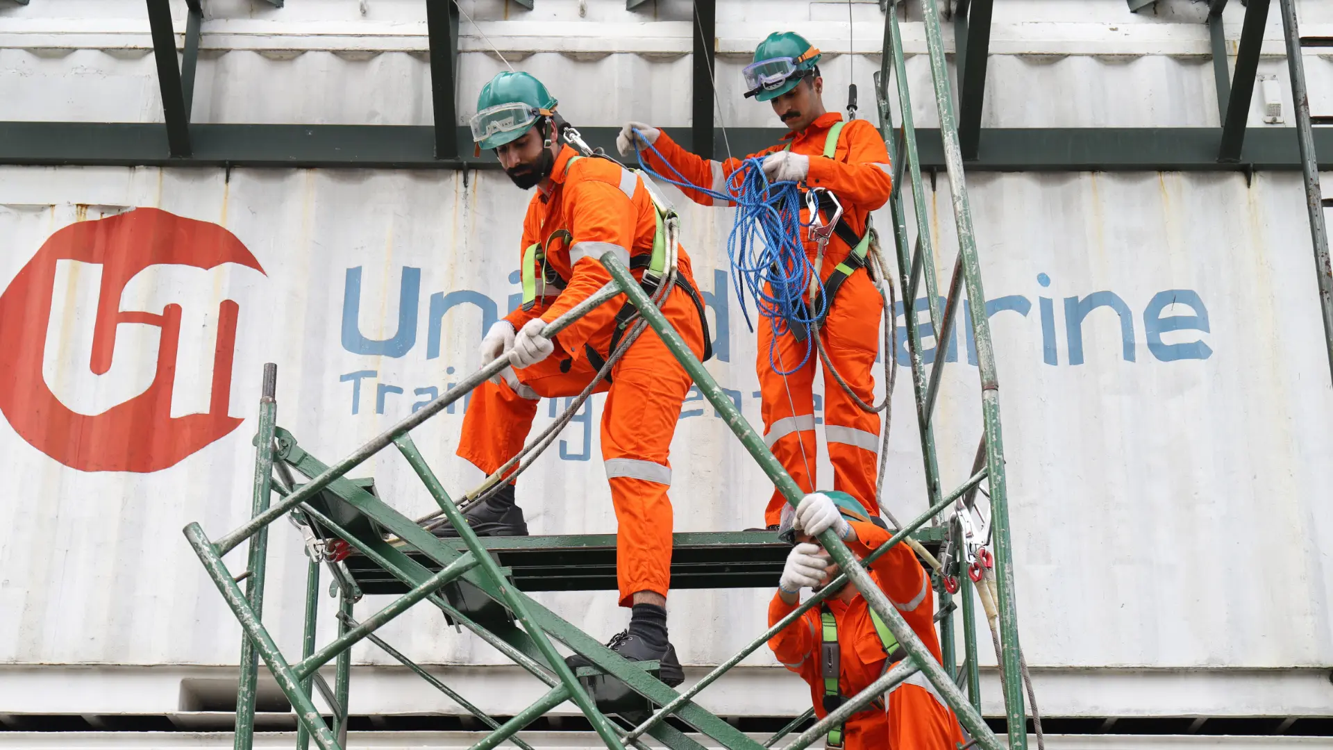 Safe Practices for Ships Carrying Timber Cargoes | United Marine ...